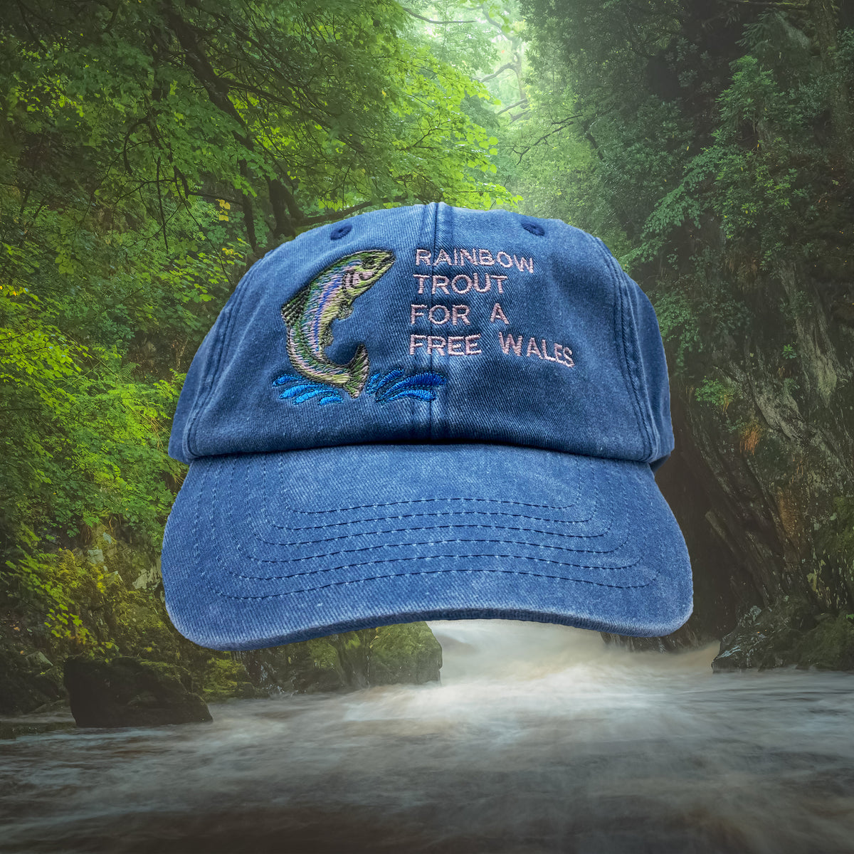 RAINBOW TROUT FOR A FREE WALES CAP – Tropical Wales